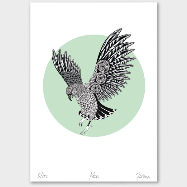 Kea Limited Edition Print – Totaea